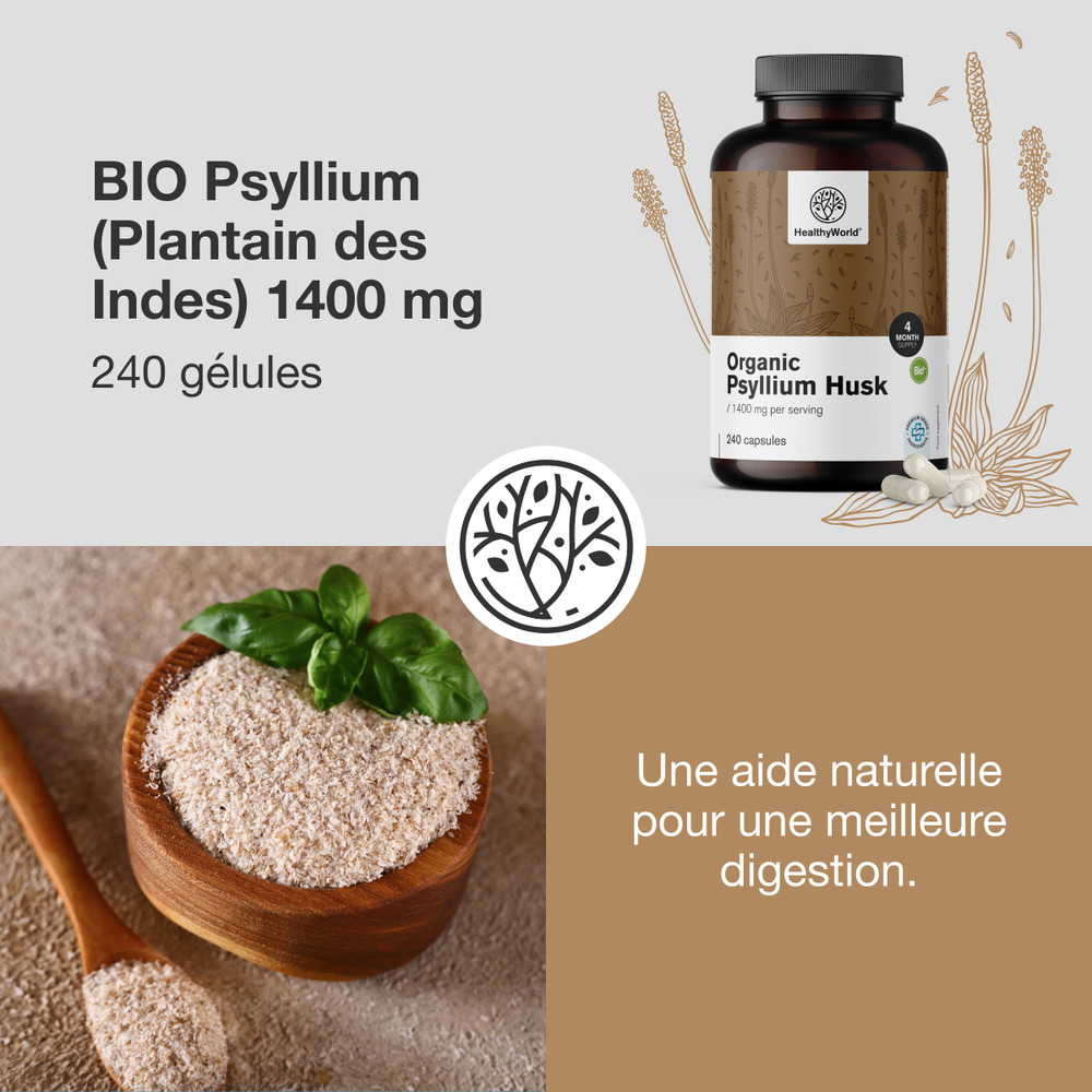 3x BIO Psyllium (Plantain des Indes) 1400 mg, ensemble 720 gélules ...